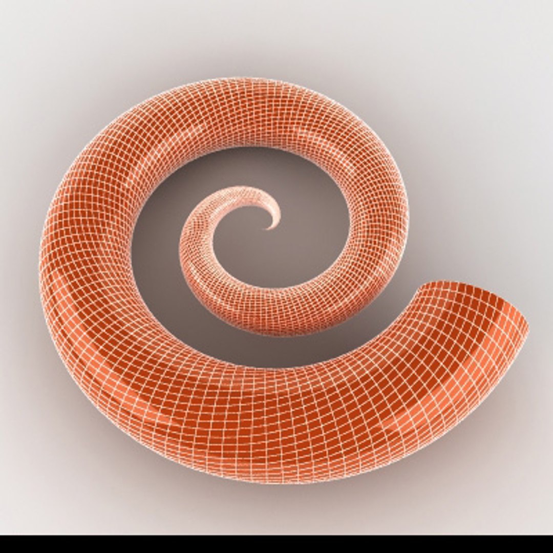 Spline Surfaces 3d Model