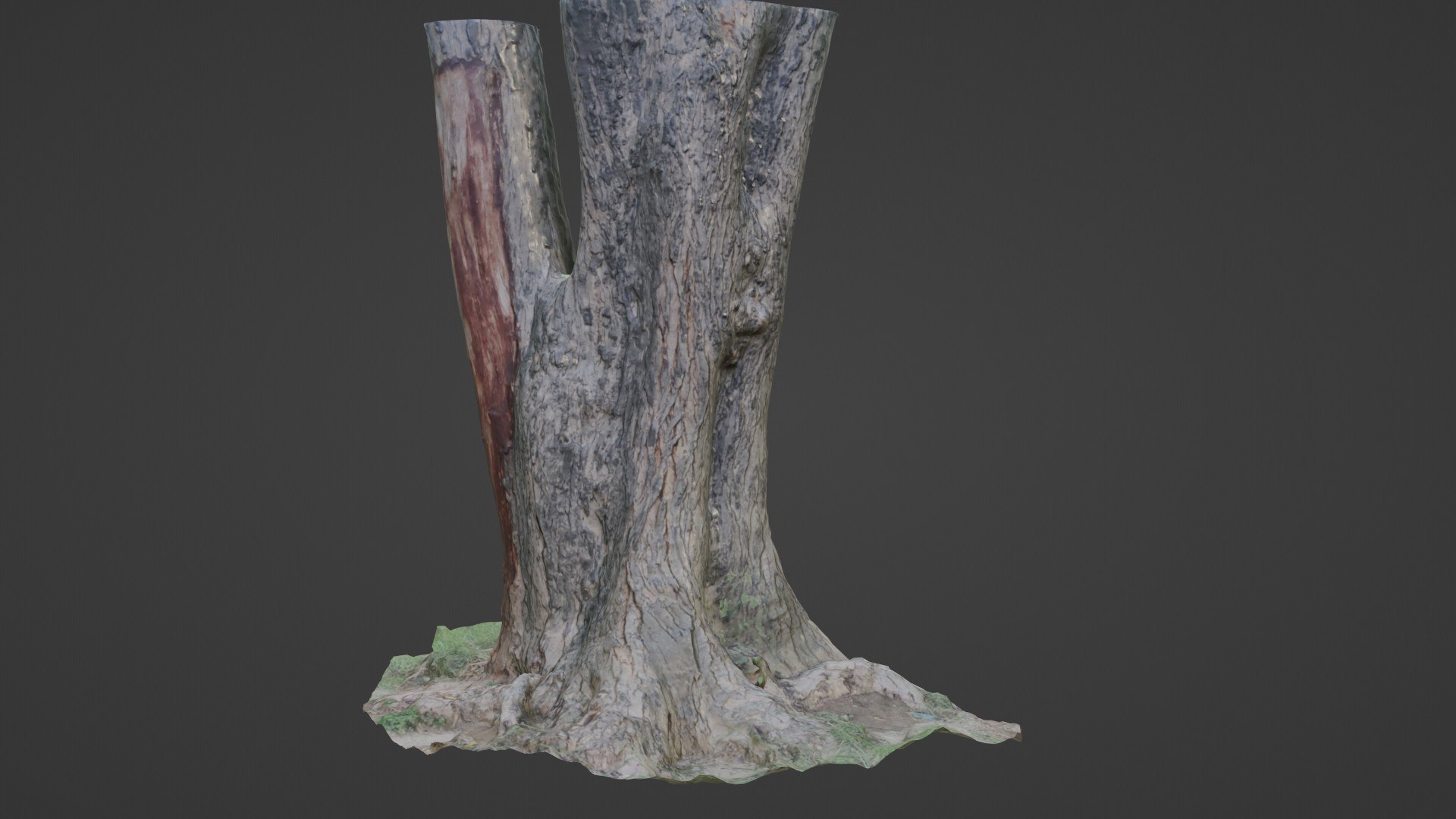 Tree Model - TurboSquid 2329360