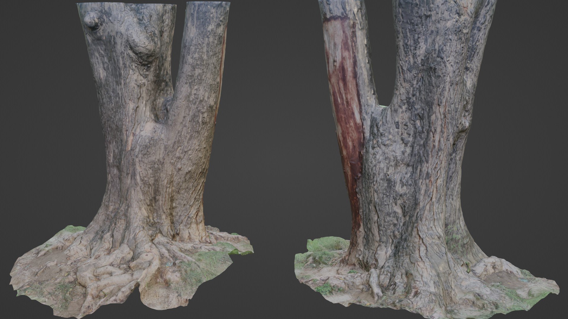 Tree Model - TurboSquid 2329360