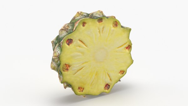 modelo 3d rodaja de piña - TurboSquid 2097898