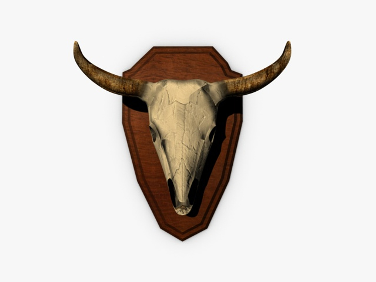 3d buffalo skull trophy model