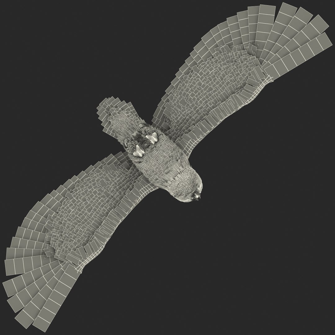 3d Model Snowy Owl Pose 1