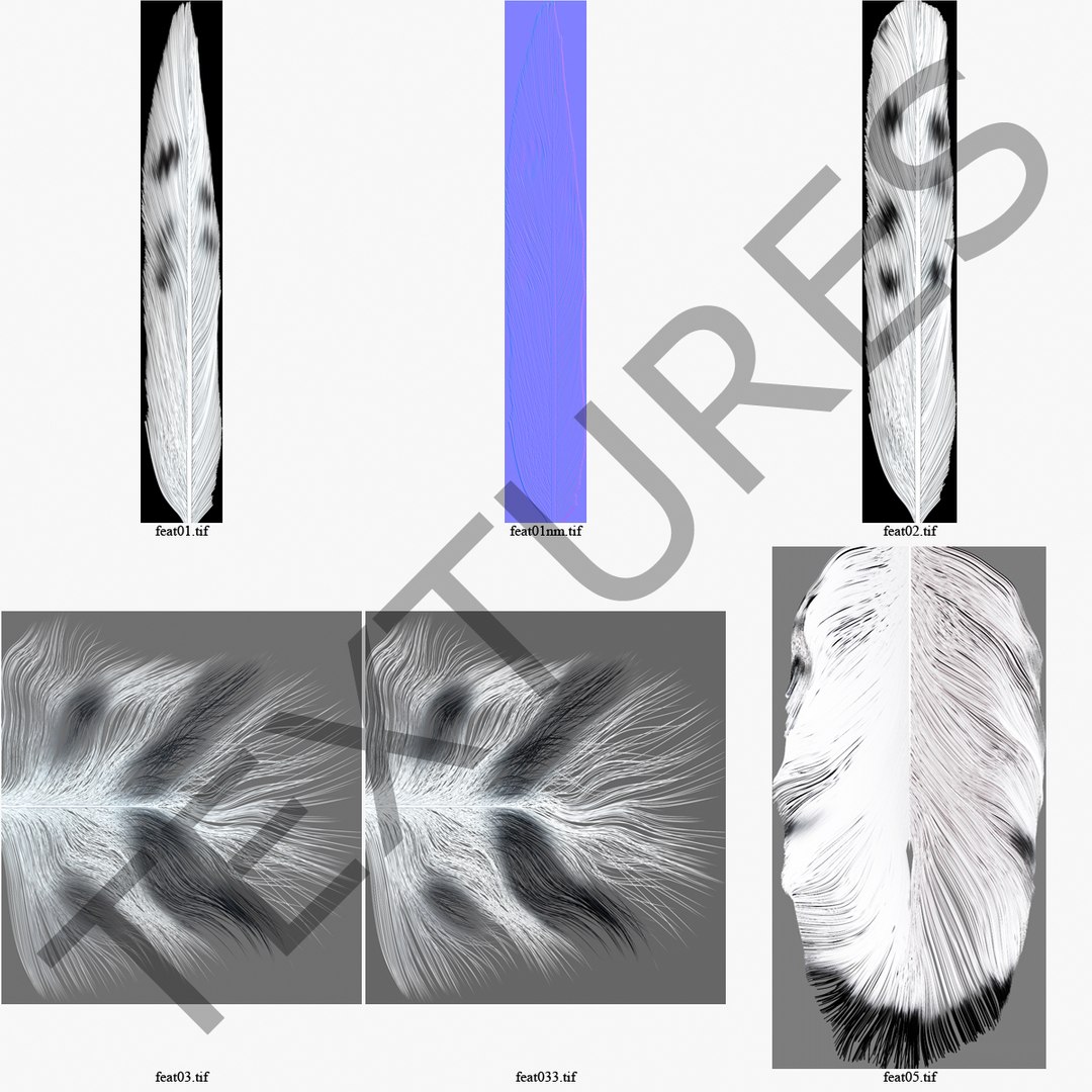 3d Model Snowy Owl Pose 1