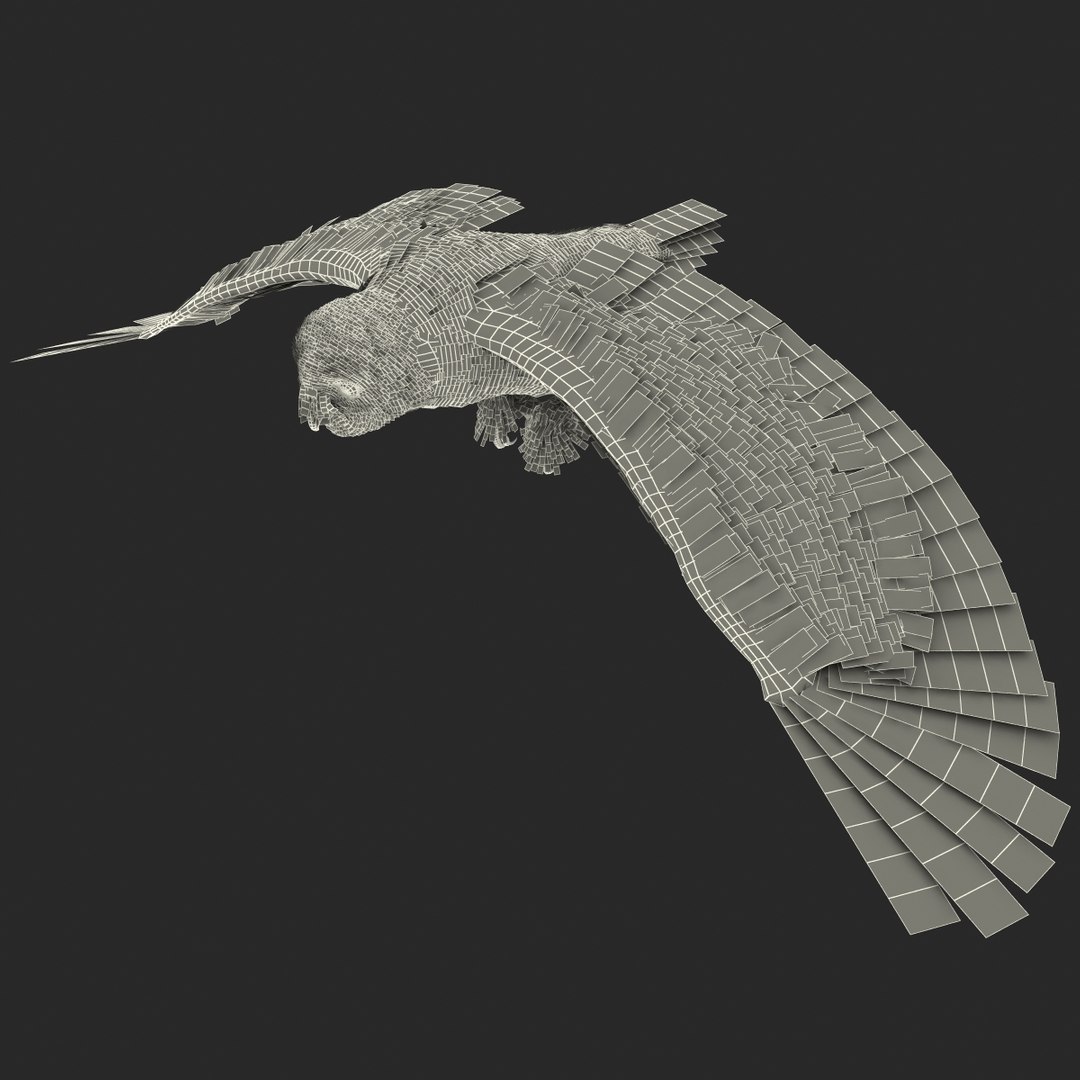 3d Model Snowy Owl Pose 1