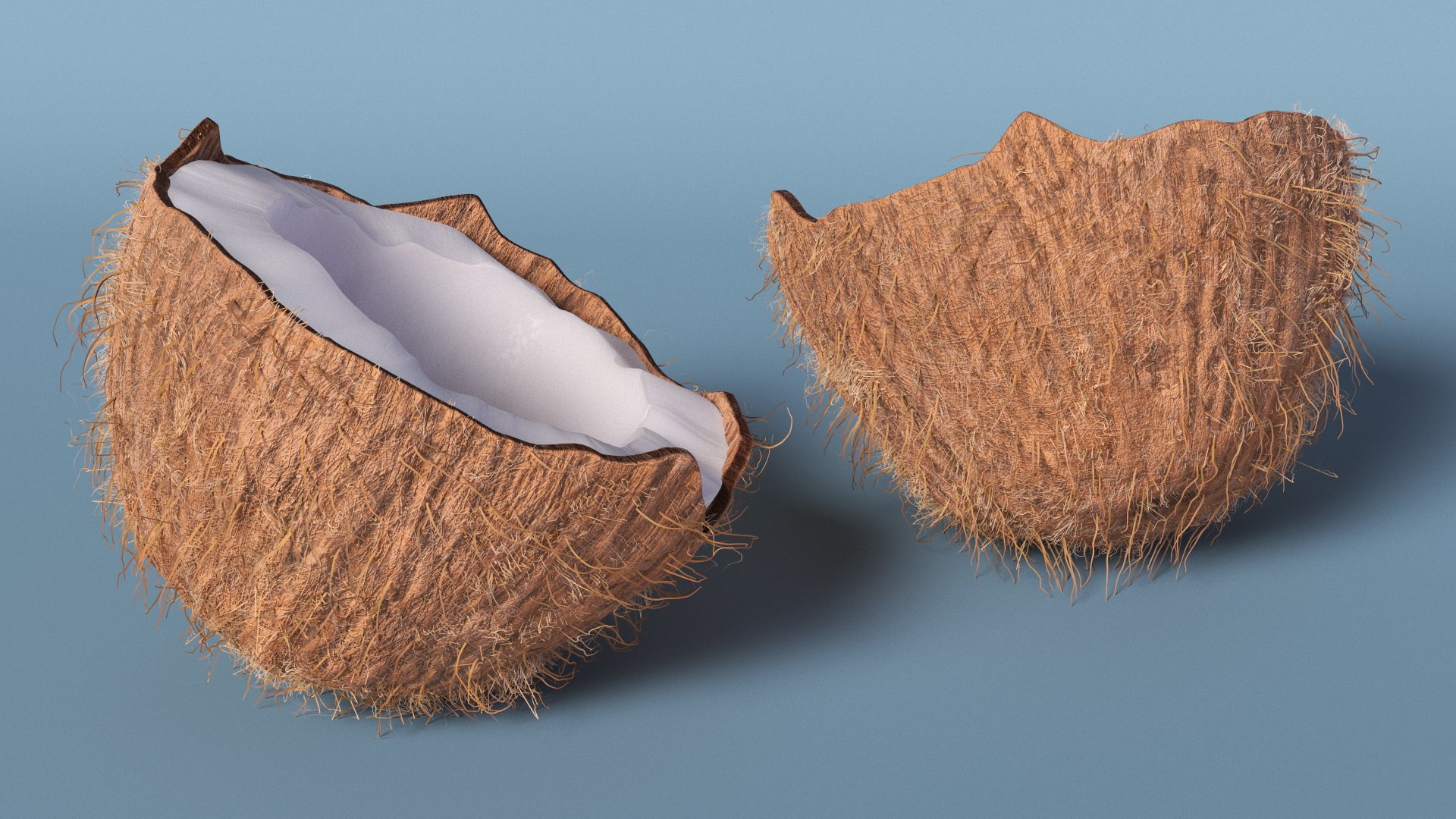 3D Half Of Coconut Fur - TurboSquid 2396025