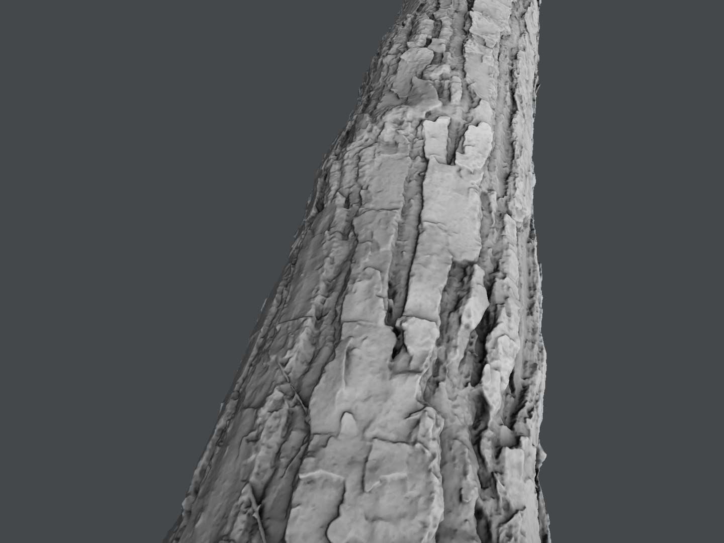 3D Model Treebark 08 - TurboSquid 1914856
