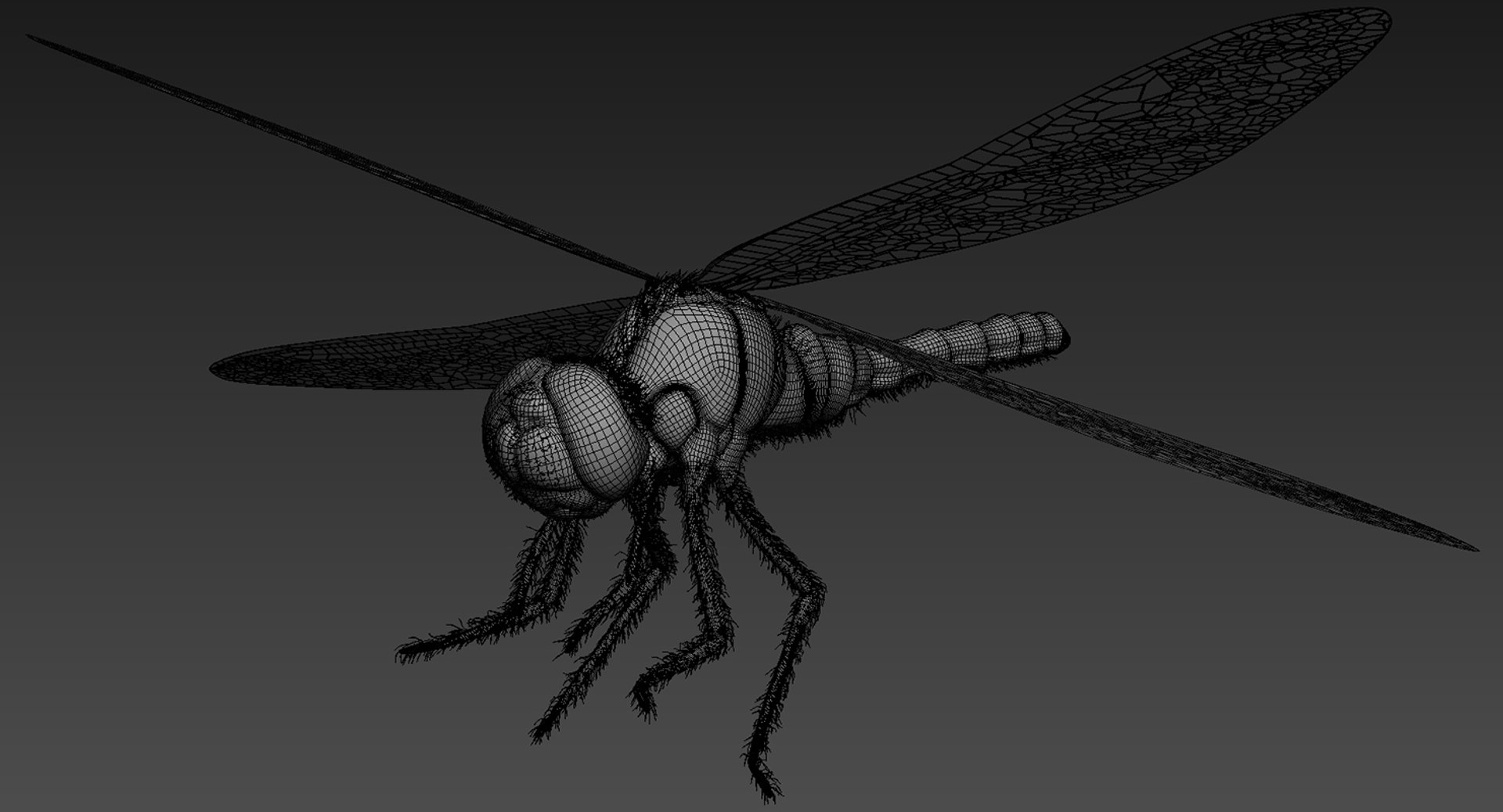 Max Dragonfly Rigged Animation