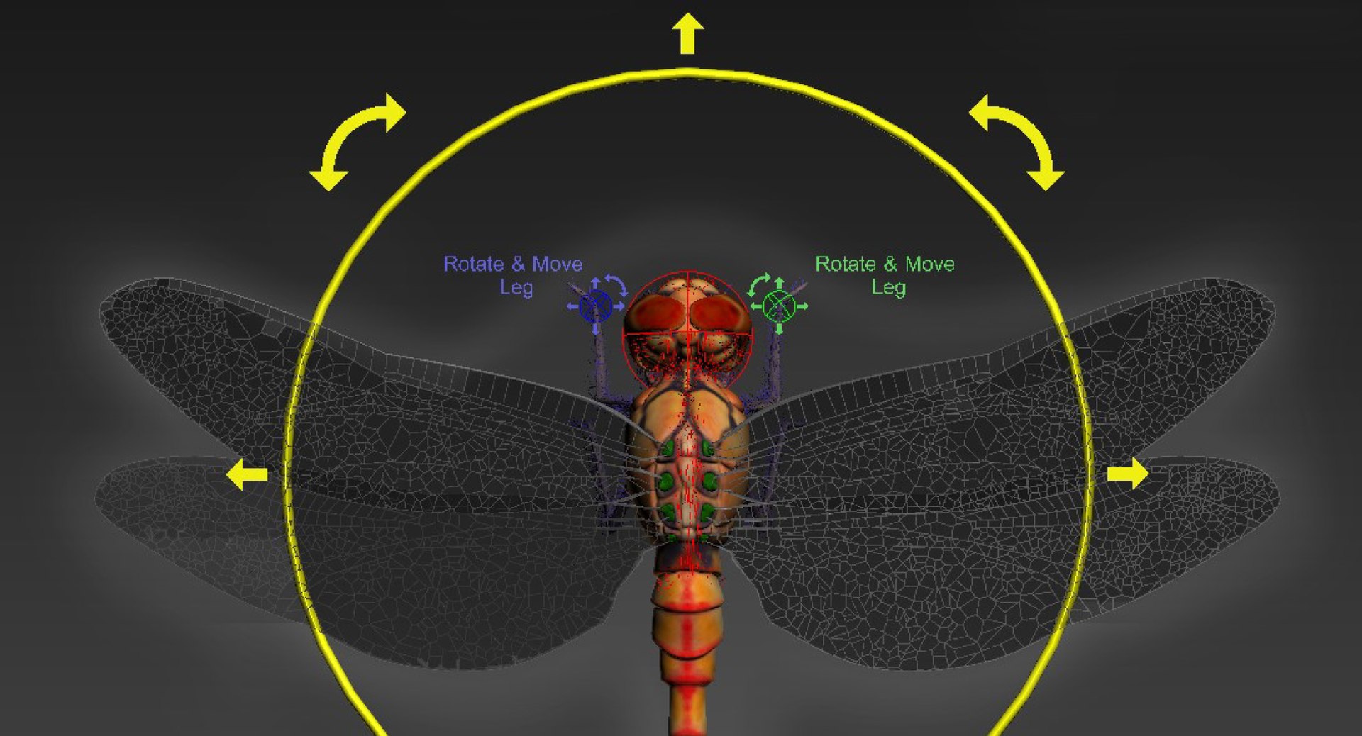 Max Dragonfly Rigged Animation