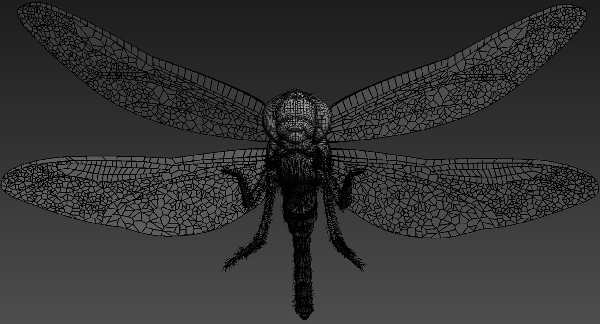 Max Dragonfly Rigged Animation