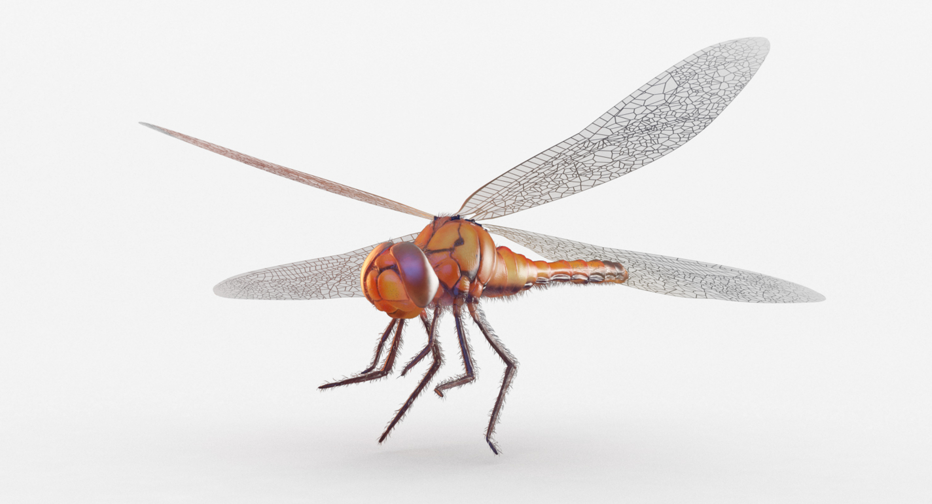 Max Dragonfly Rigged Animation
