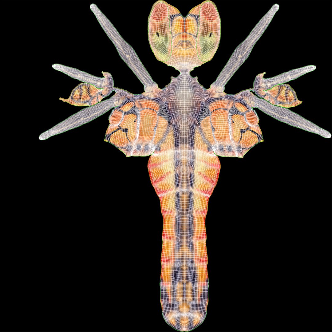 Max Dragonfly Rigged Animation