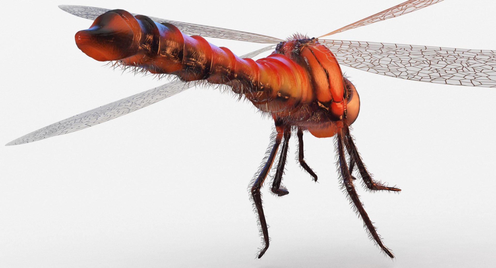 Max Dragonfly Rigged Animation