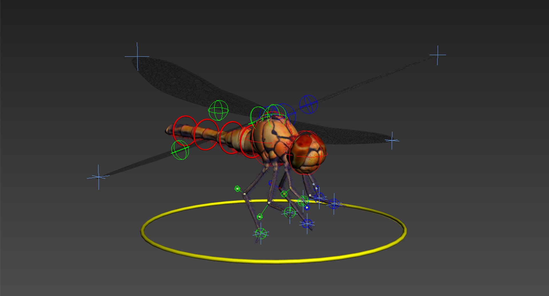 Max Dragonfly Rigged Animation