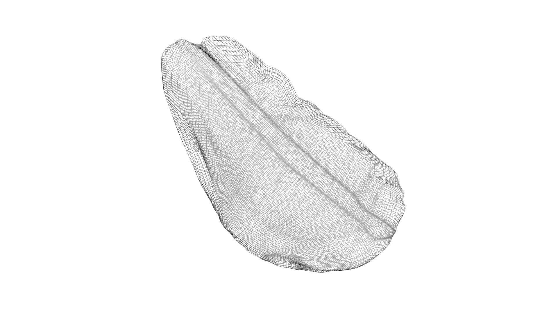 3D Brazilian Nut model - TurboSquid 1852146