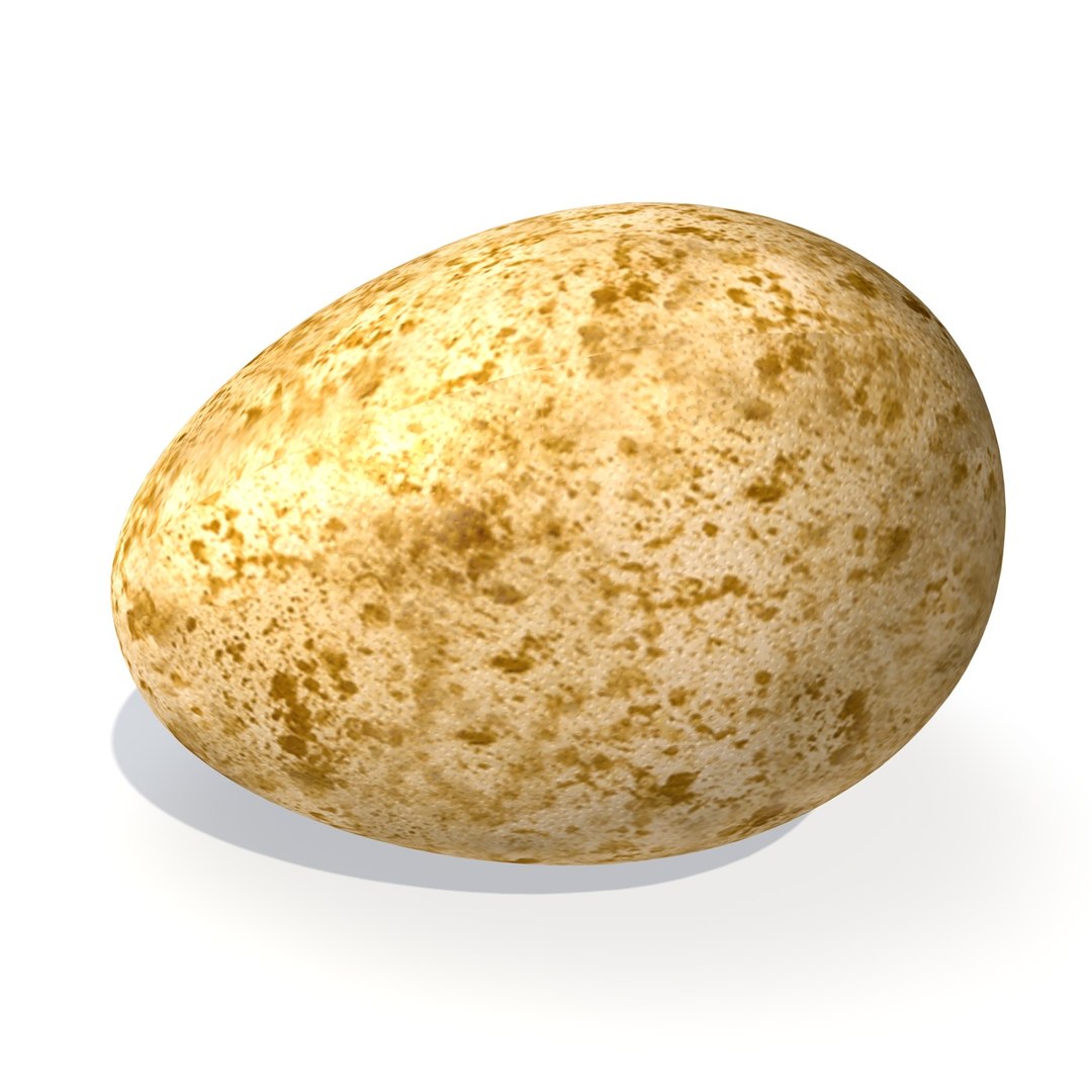 Common Kestrel Egg 3d Model