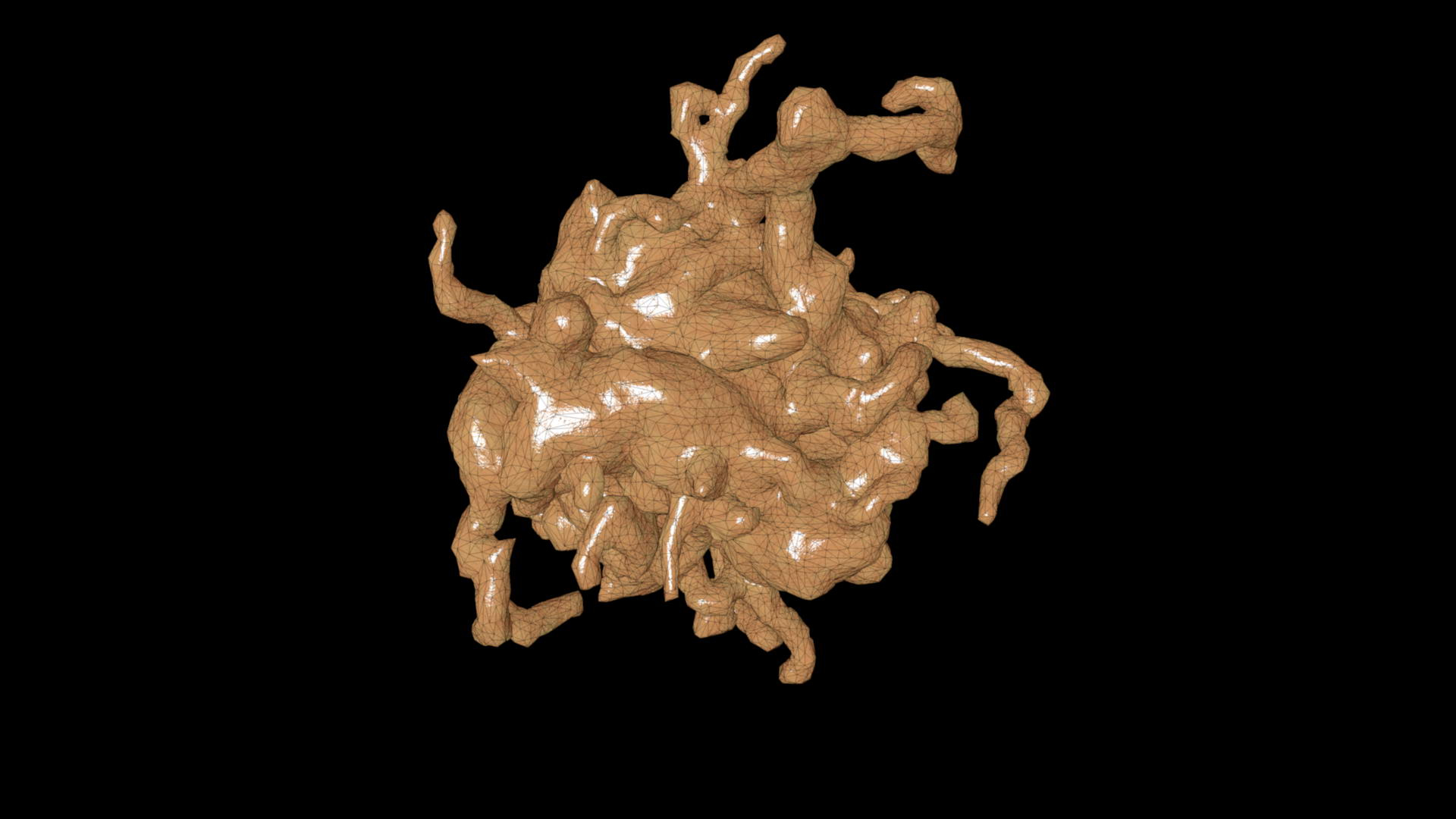 3d Blood Cells Erythrocyte Leukocyte