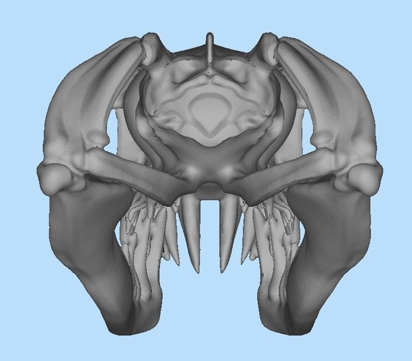3D model snake skull pendant - TurboSquid 1548752