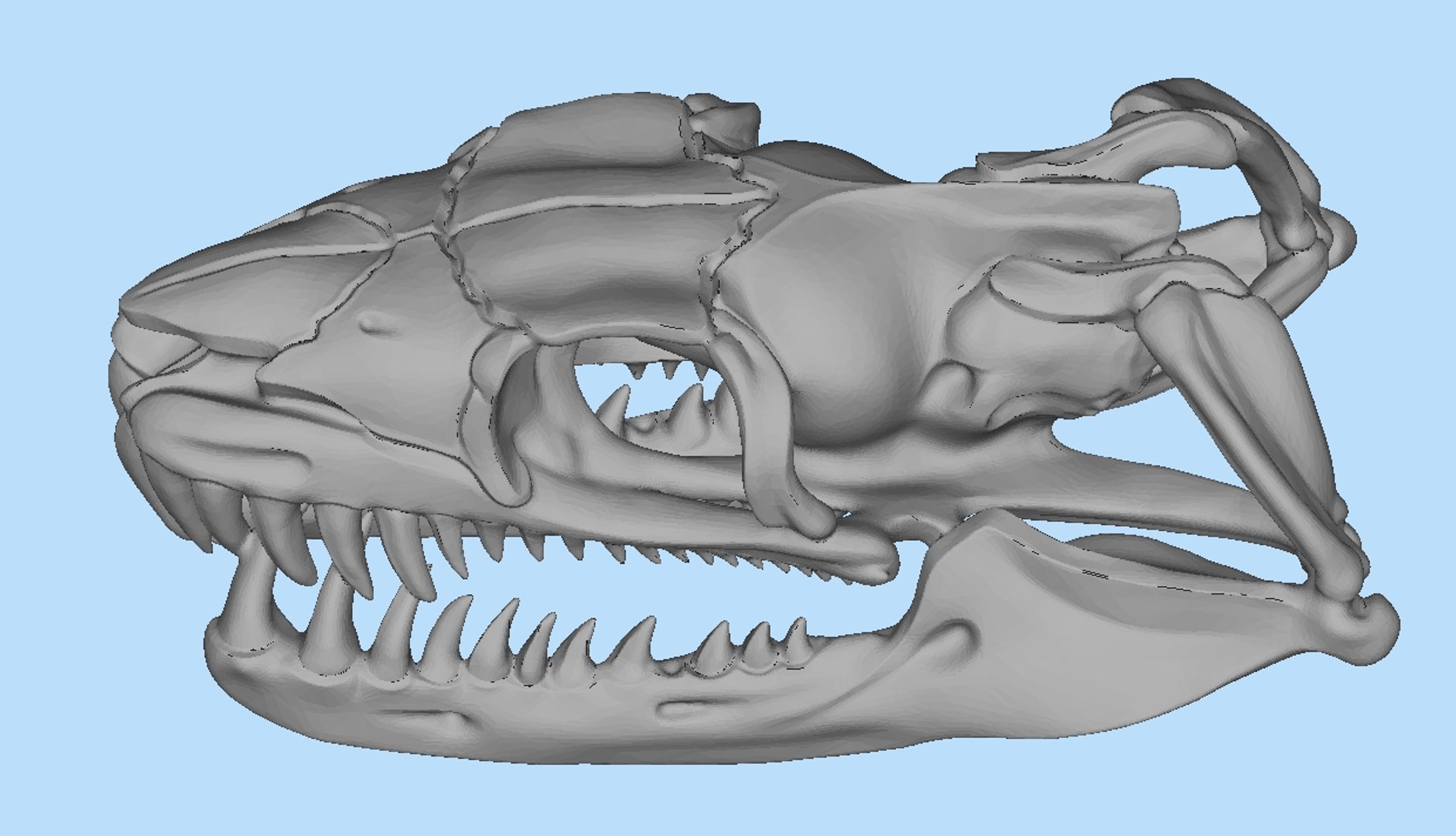 3D Model Snake Skull Pendant - TurboSquid 1548752