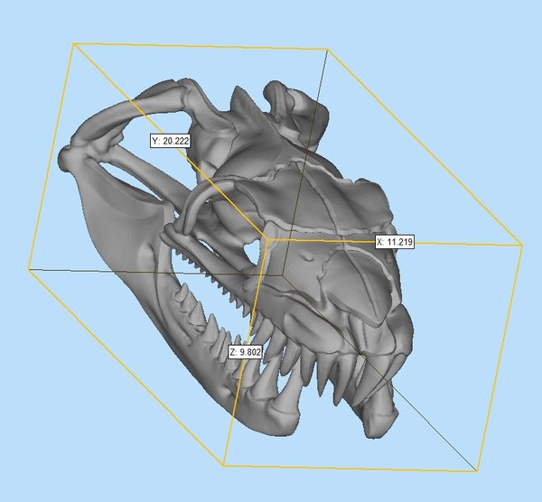 3D model snake skull pendant - TurboSquid 1548752