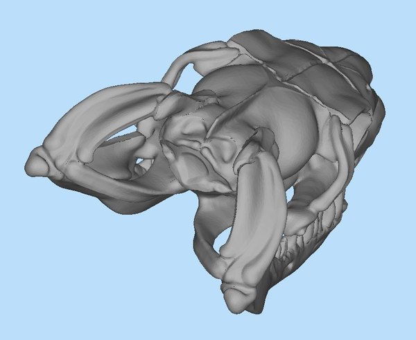 3D model snake skull pendant - TurboSquid 1548752