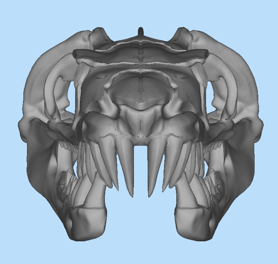3D Model Snake Skull Pendant - TurboSquid 1548752