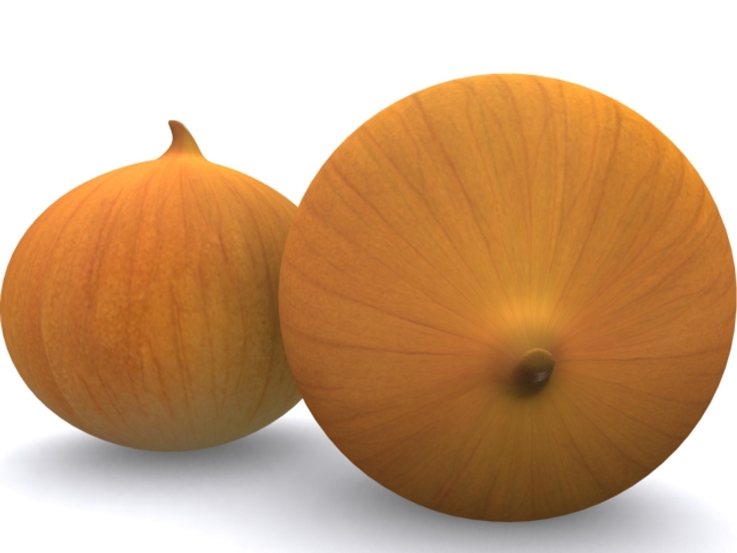 3d Model Onion