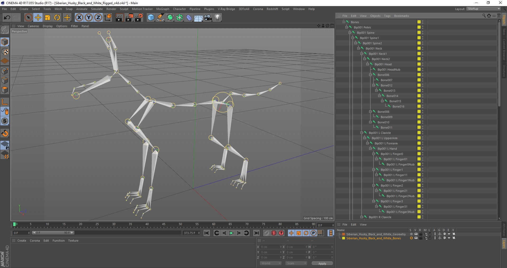 Husky Dog Copper And White Coat Rigged For Cinema 4D 3D Model ...