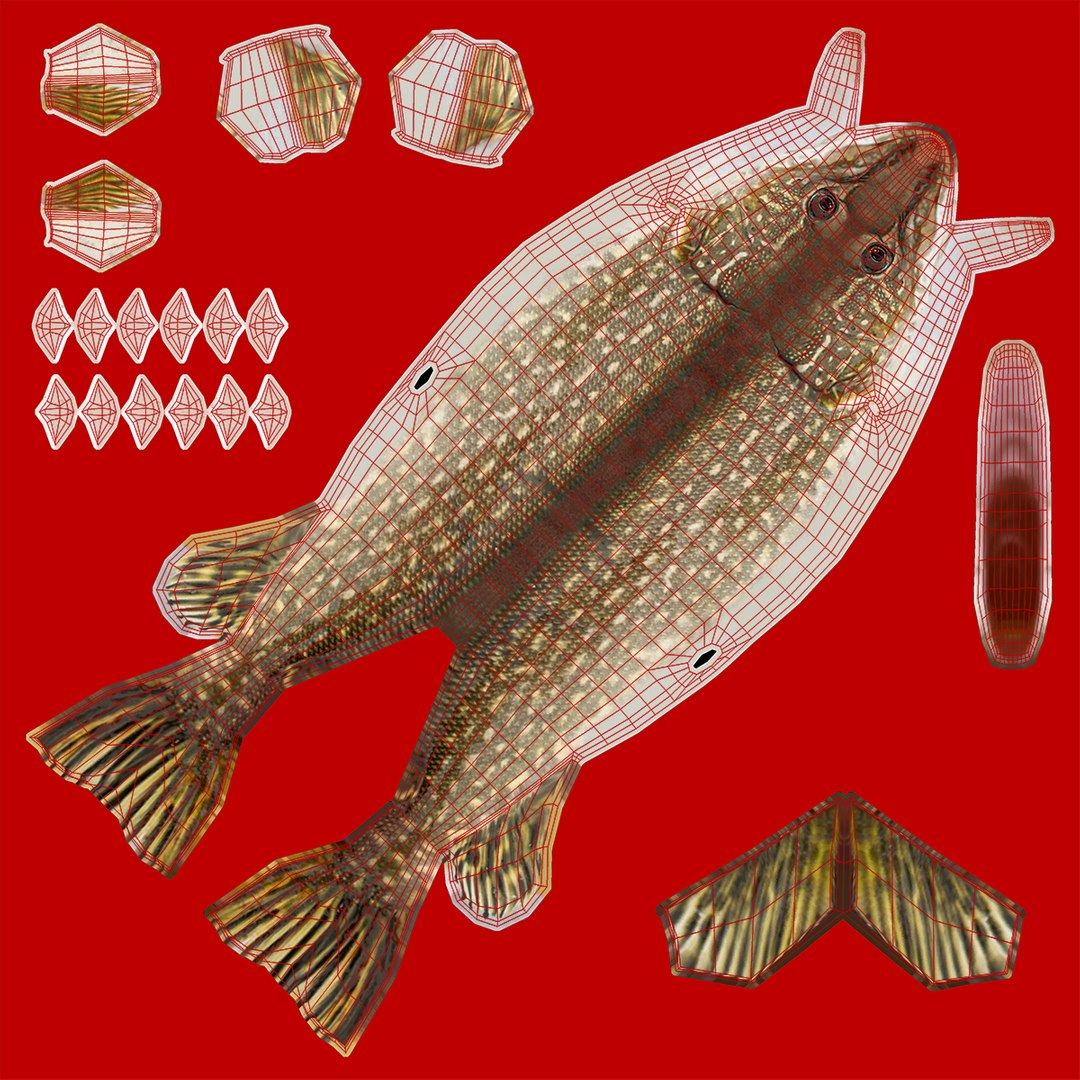 3D Pike Model - TurboSquid 1887261