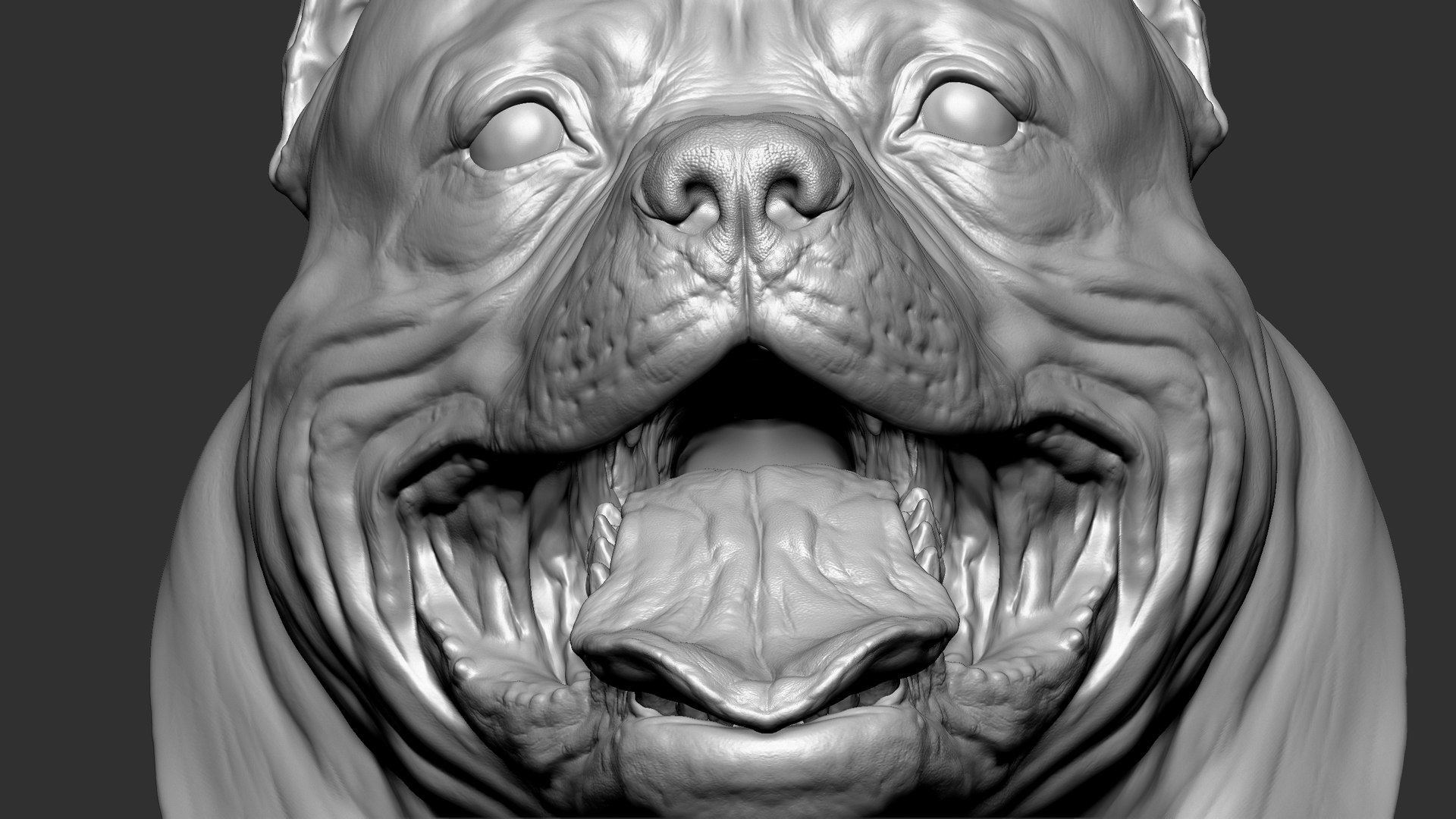 American Bully Pitbull Terrier Dog Head 3D Model - TurboSquid 1889448