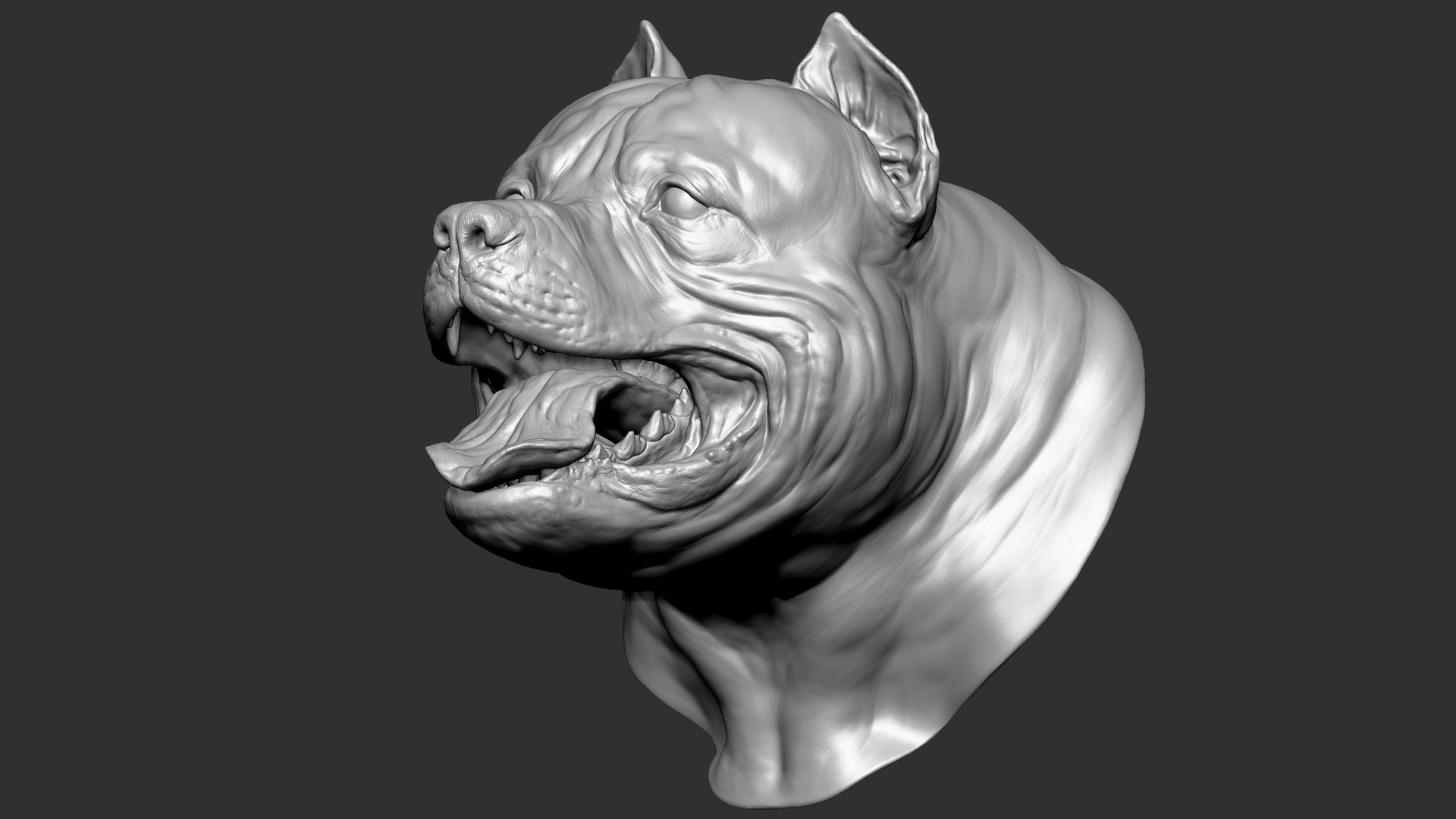 American Bully Pitbull Terrier Dog Head 3D Model - TurboSquid 1889448
