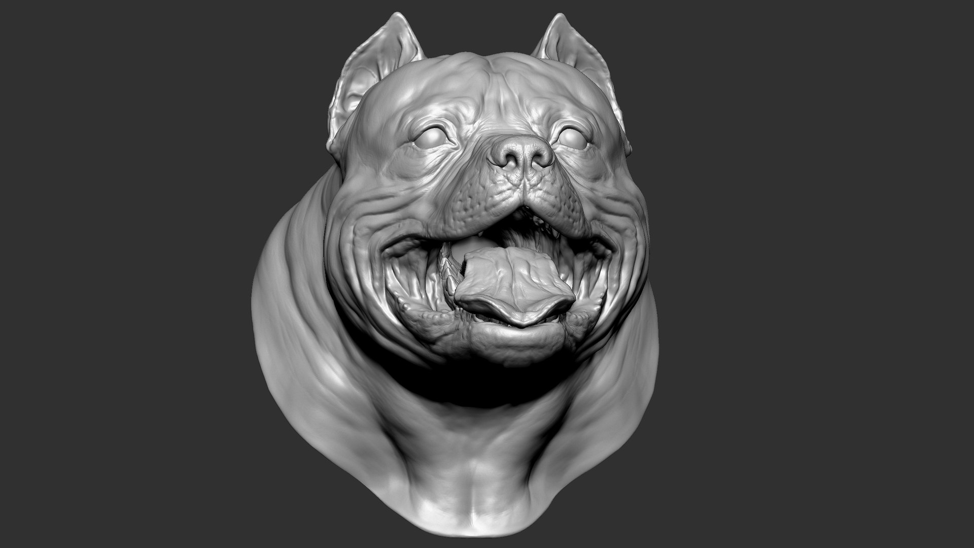 American Bully Pitbull Terrier Dog Head 3D Model - TurboSquid 1889448
