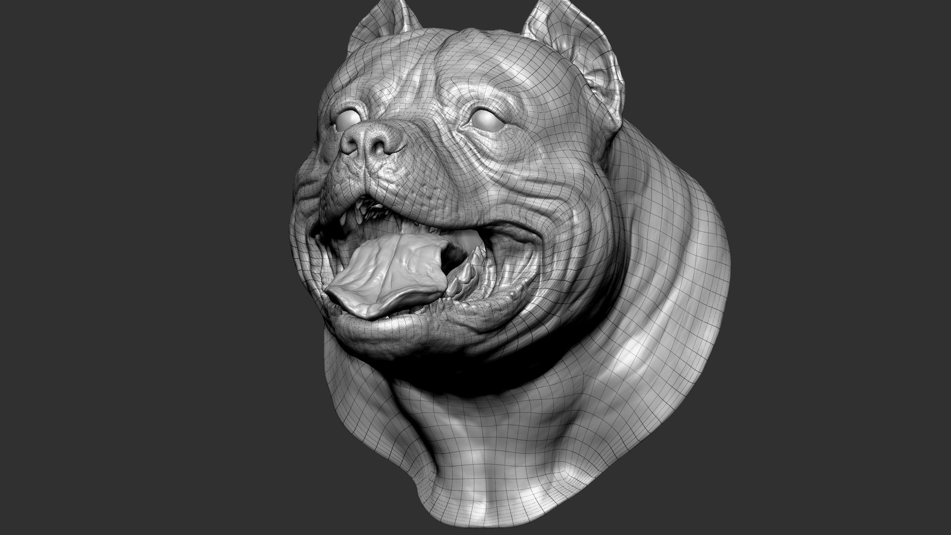 American Bully Pitbull Terrier Dog Head 3D Model - TurboSquid 1889448