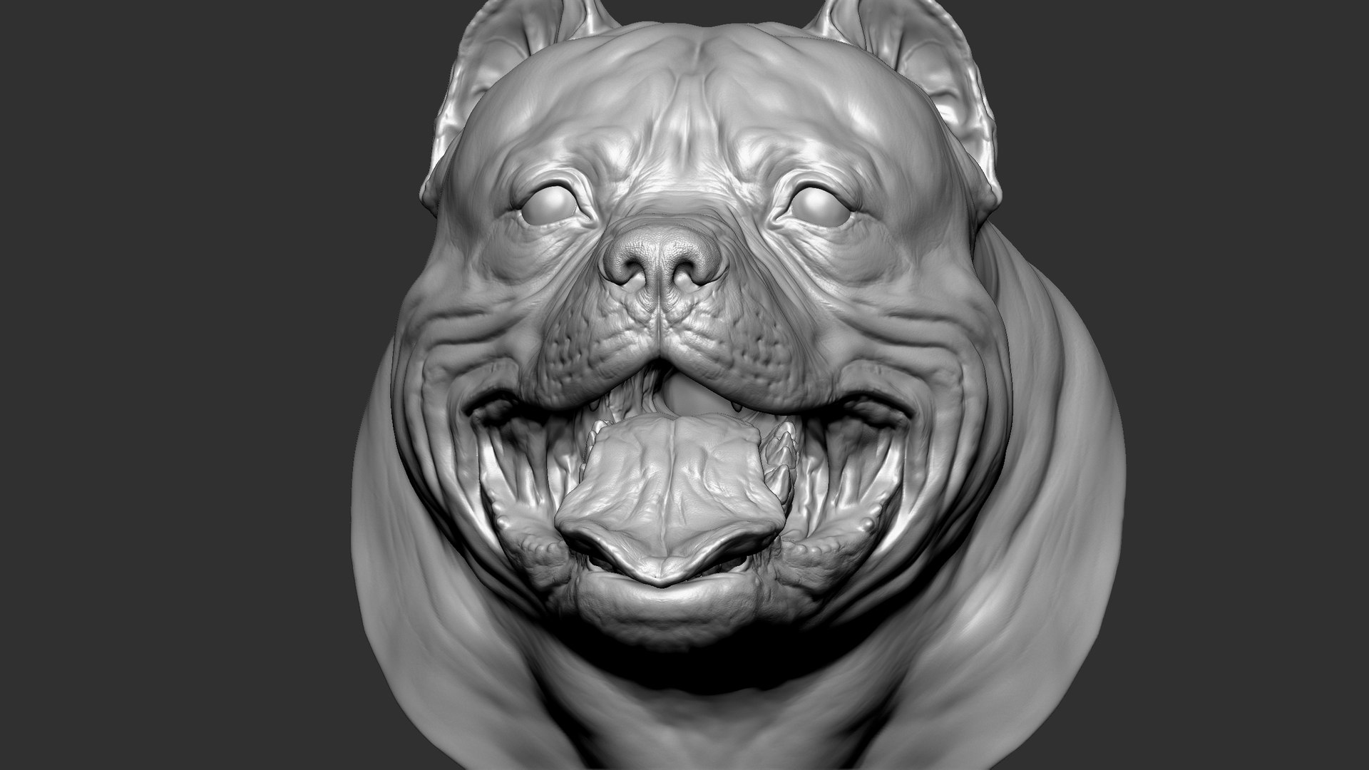 American Bully Pitbull Terrier Dog Head 3D Model - TurboSquid 1889448
