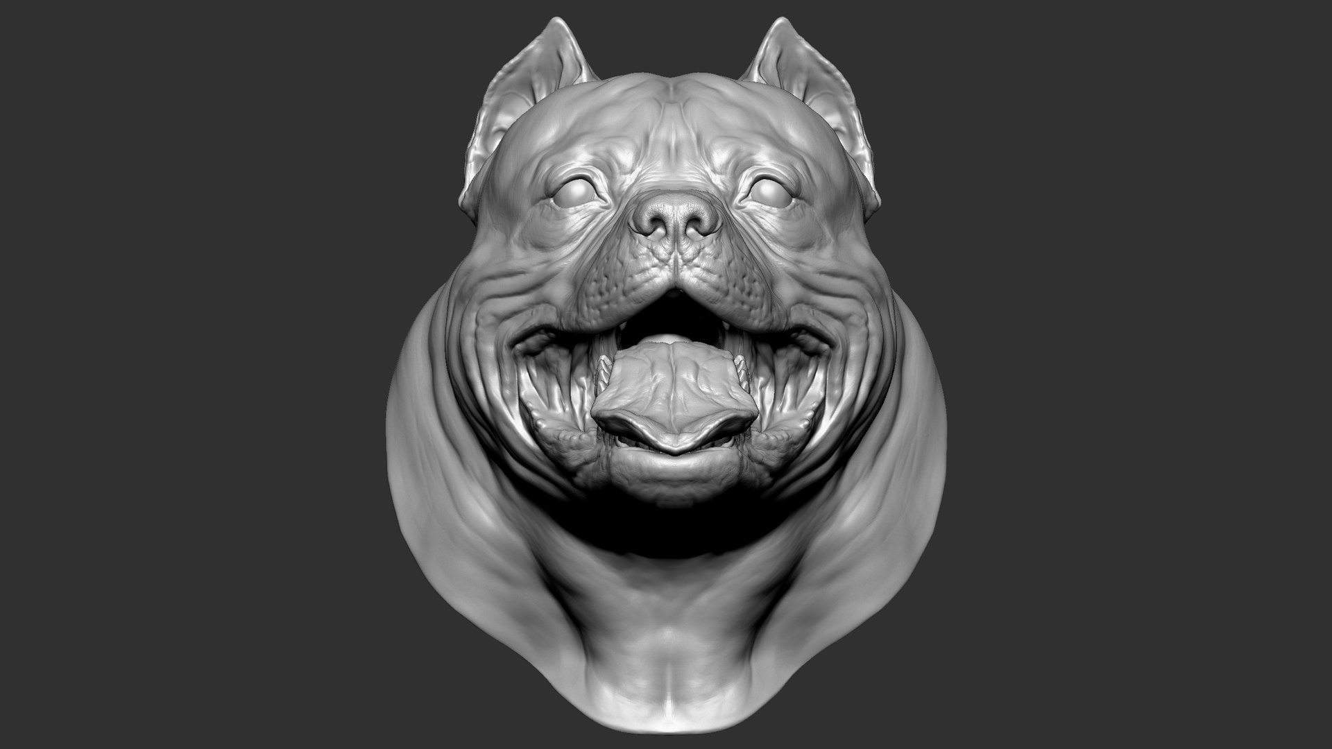 American Bully Pitbull Terrier Dog Head 3D Model - TurboSquid 1889448