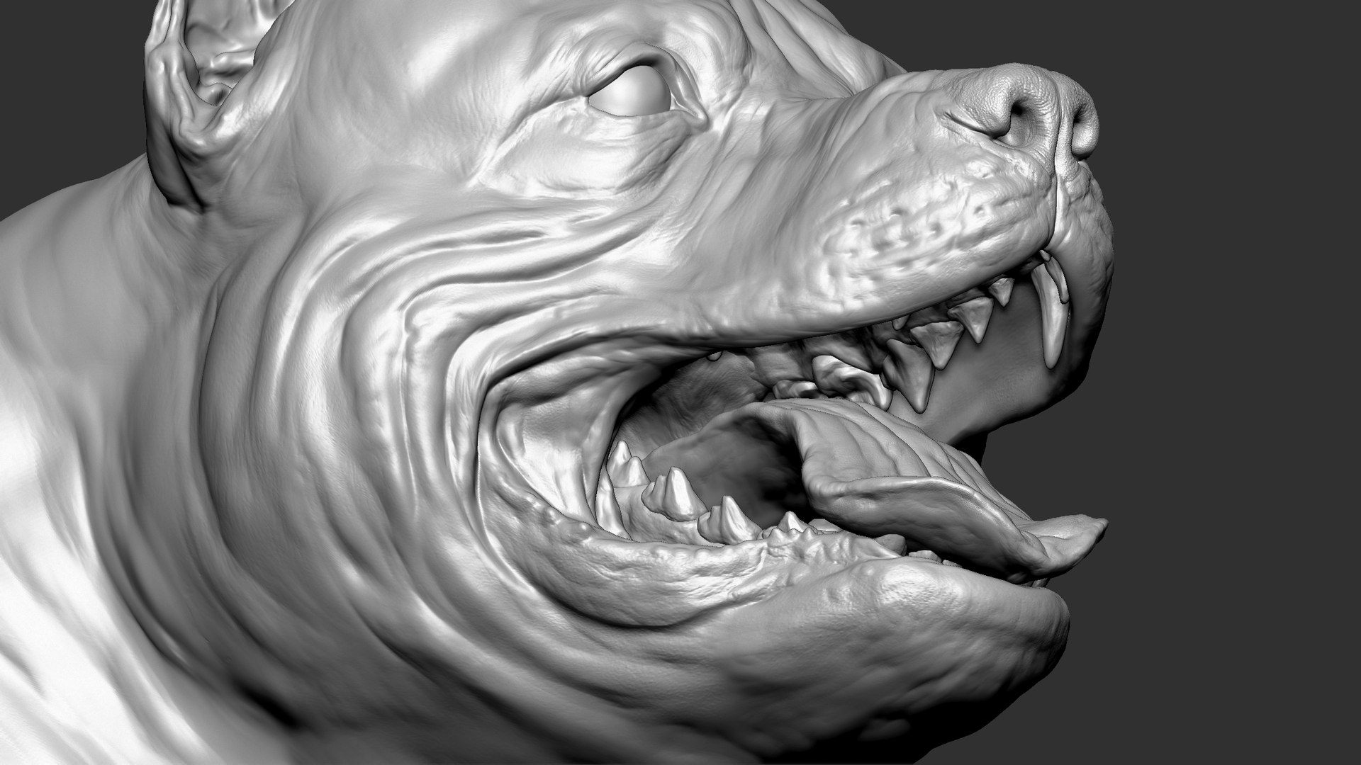 American Bully Pitbull Terrier Dog Head 3D Model - TurboSquid 1889448