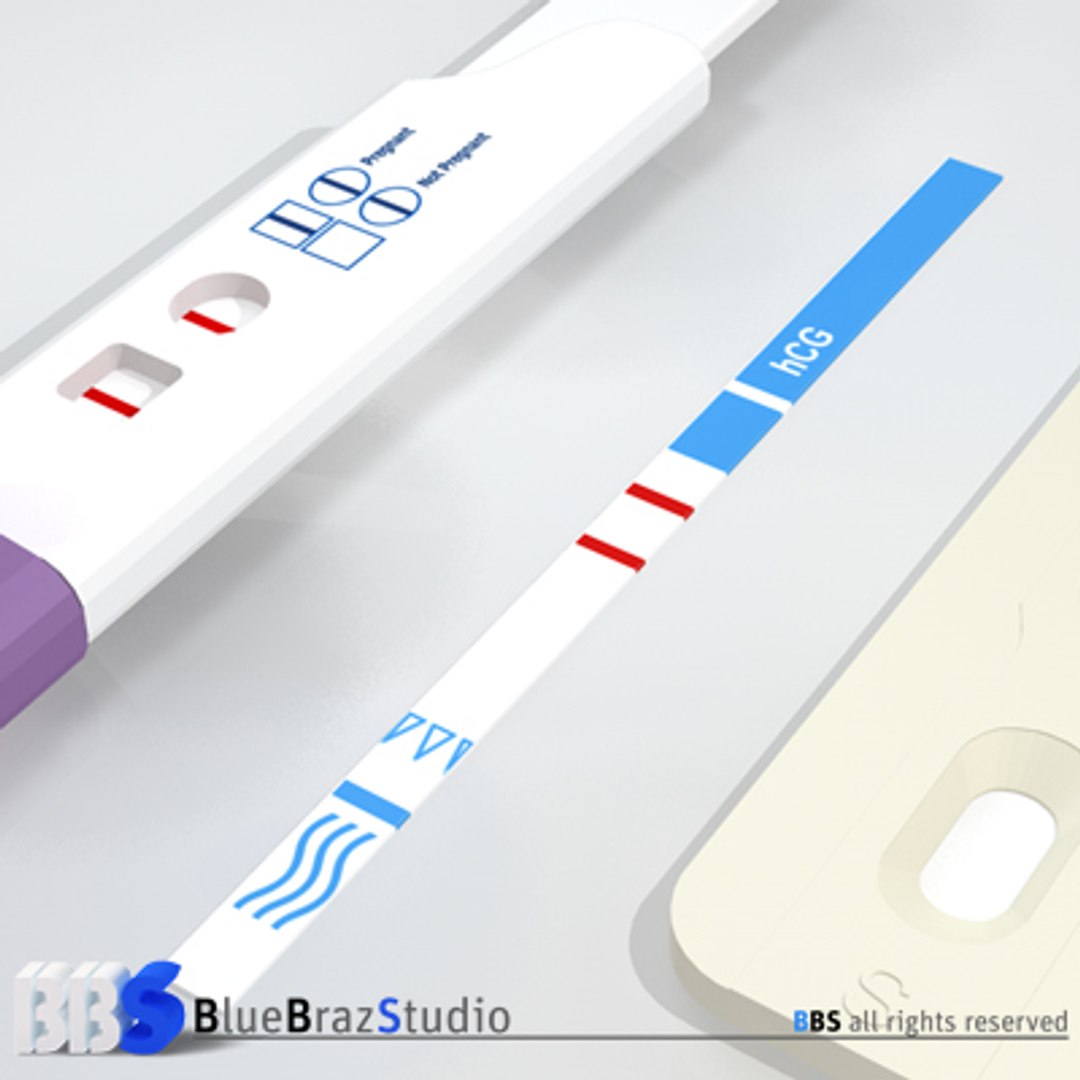 Pregnancy Test 3d Model