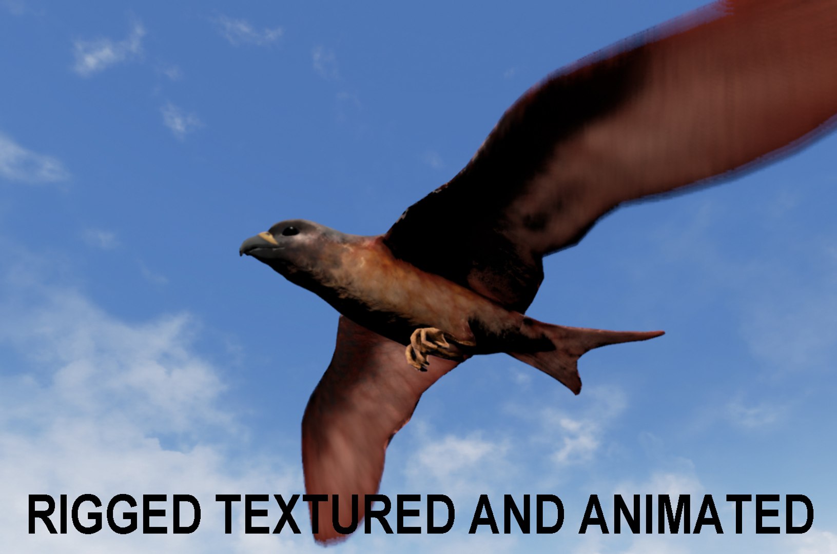 3d Obj Falcon Animations Pray