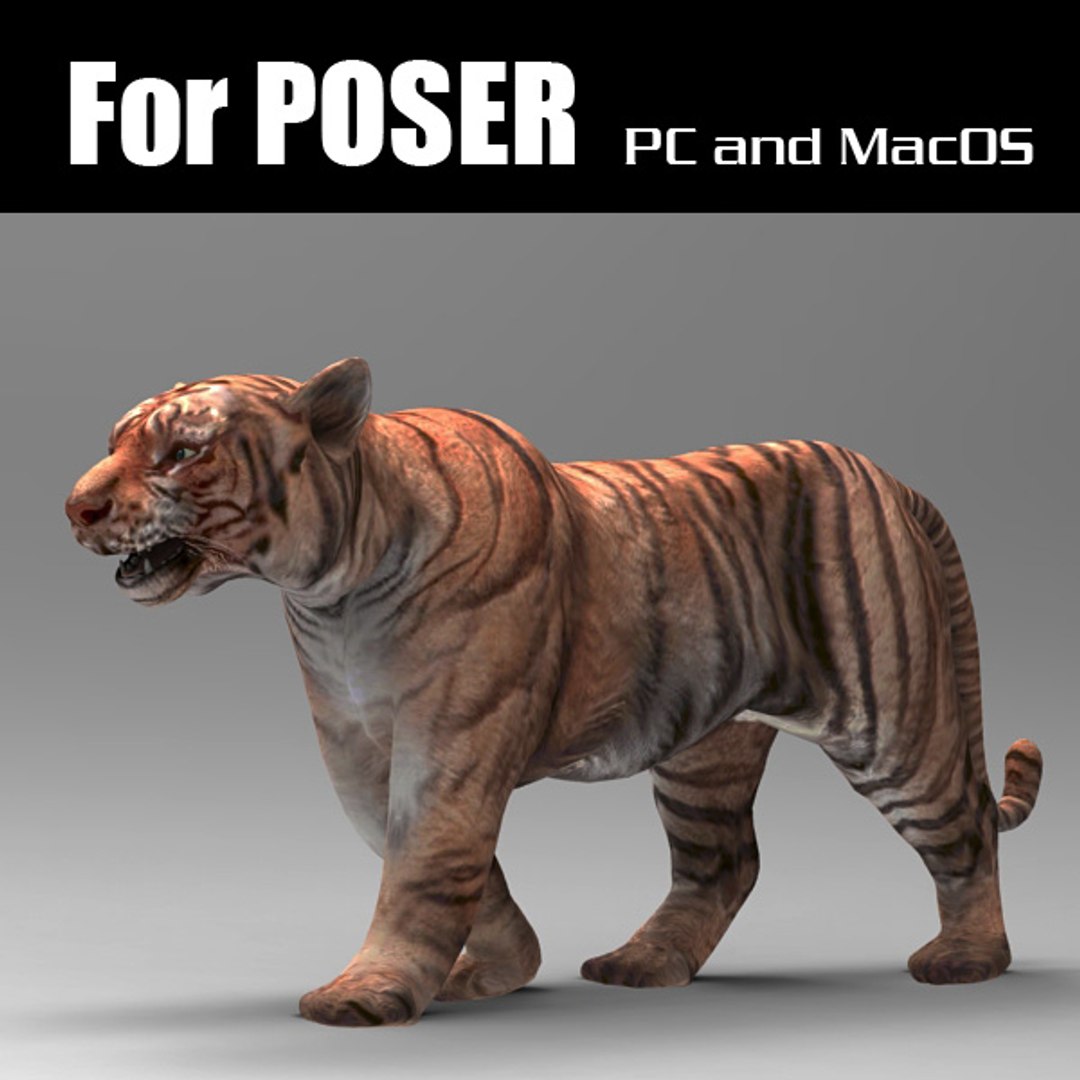 Pz3 Tiger Poser