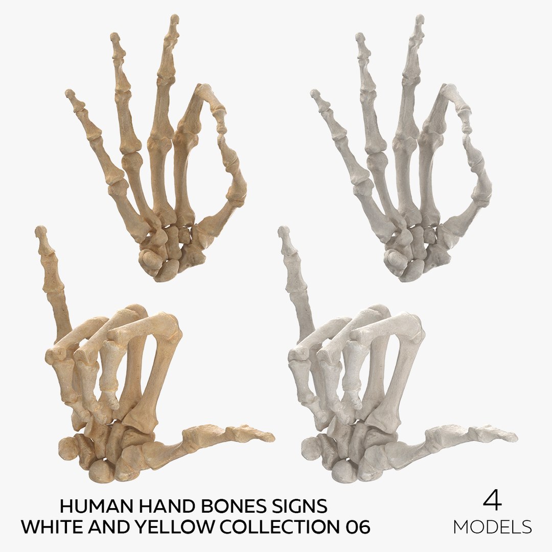 Human Hand Bones Signs White and Yellow Collection 06 - 4 models 3D ...