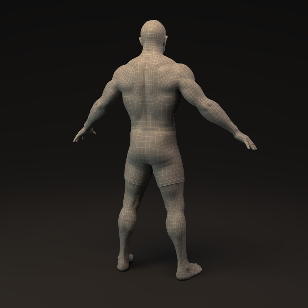 3D Muscular Man Base Mesh And Proxy Model - TurboSquid 2233201