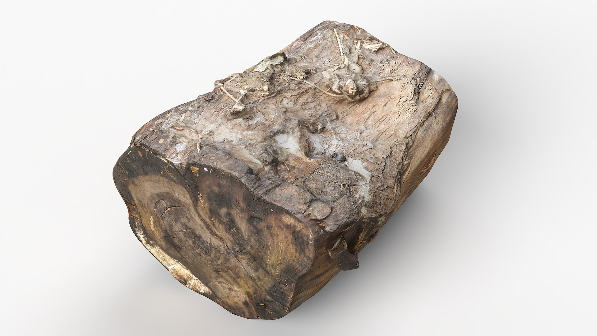 Tree Stump 32 3D - TurboSquid 2157738