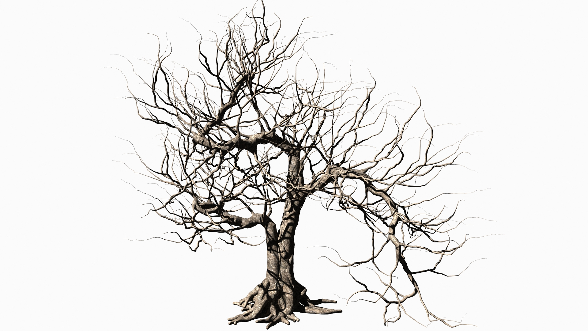 Dead Tree 3D Model - TurboSquid 1879060