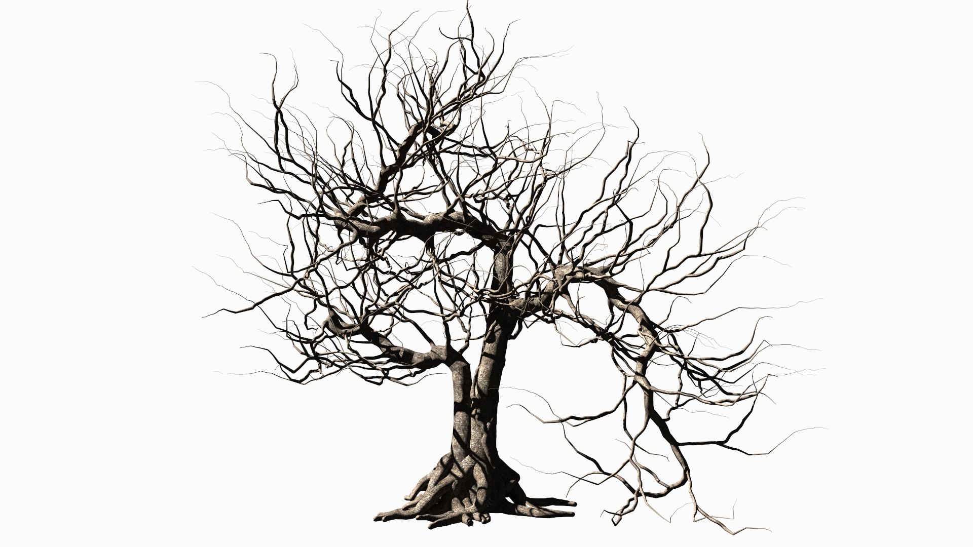 Dead Tree 3D Model - TurboSquid 1879060