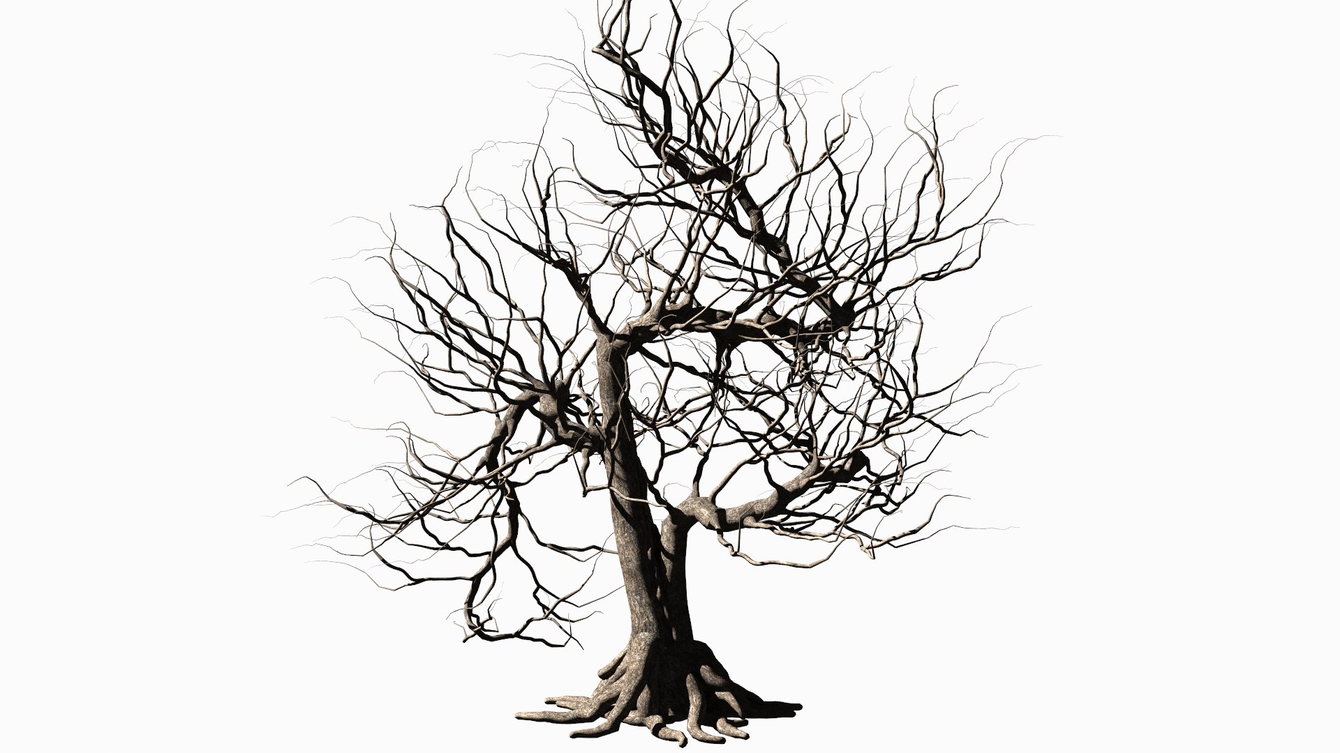 Dead Tree 3D Model - TurboSquid 1879060