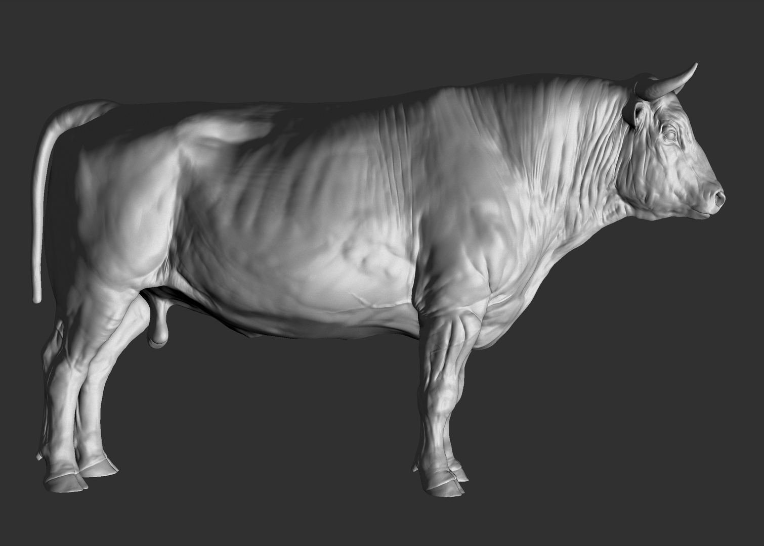 Bull v2 3D model - TurboSquid 1408523