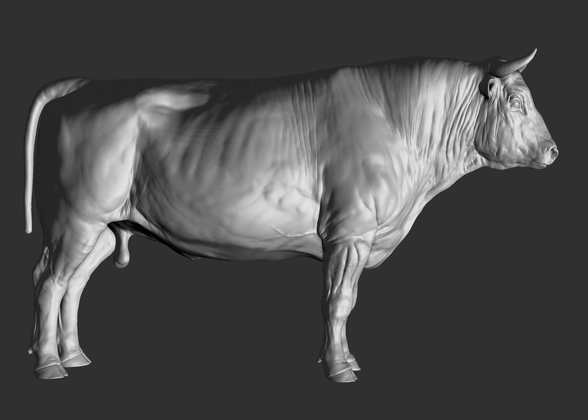 Bull v2 3D model - TurboSquid 1408523