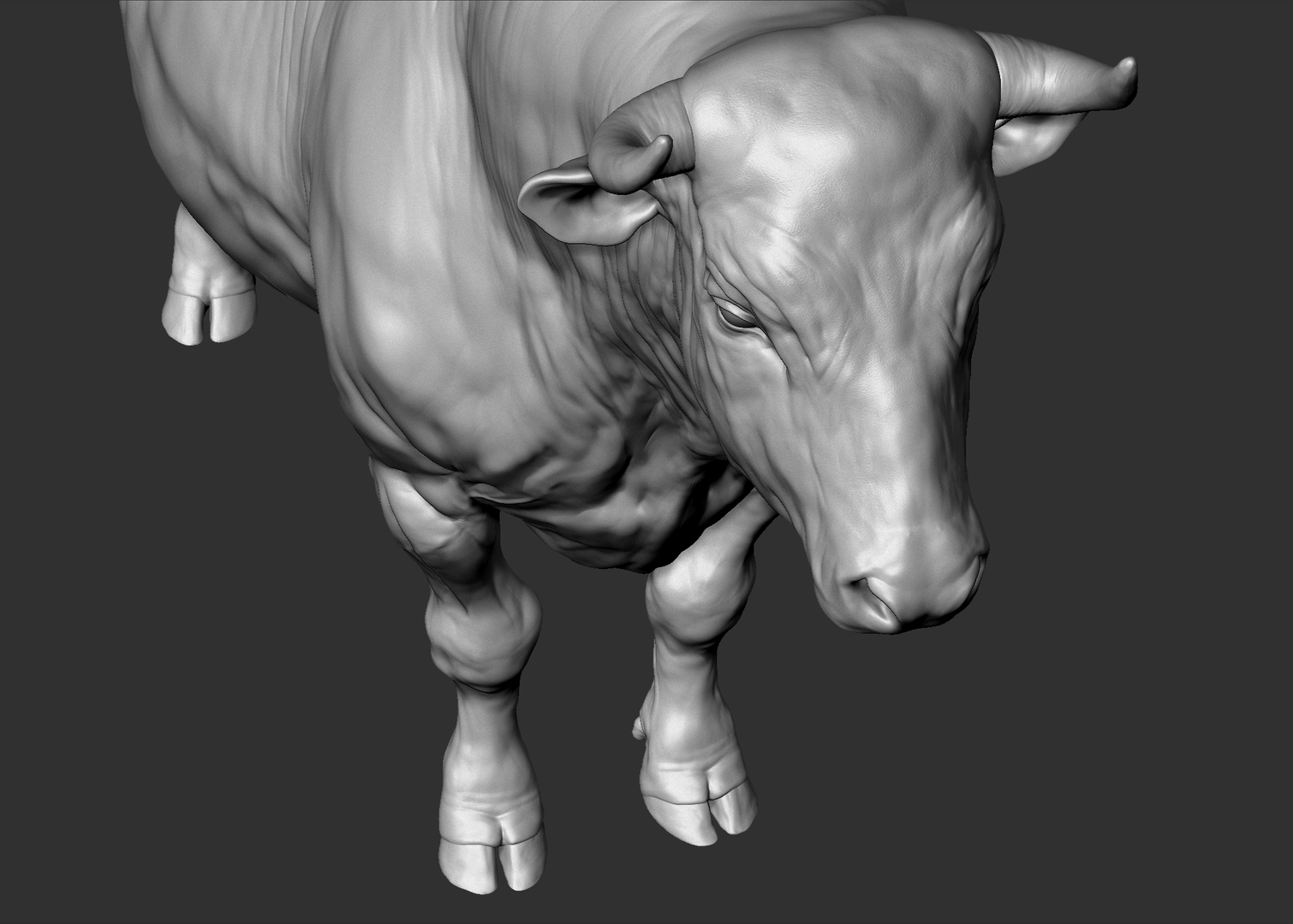 Bull v2 3D model - TurboSquid 1408523
