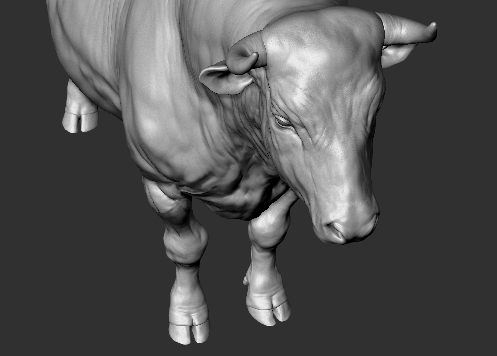 Bull v2 3D model - TurboSquid 1408523