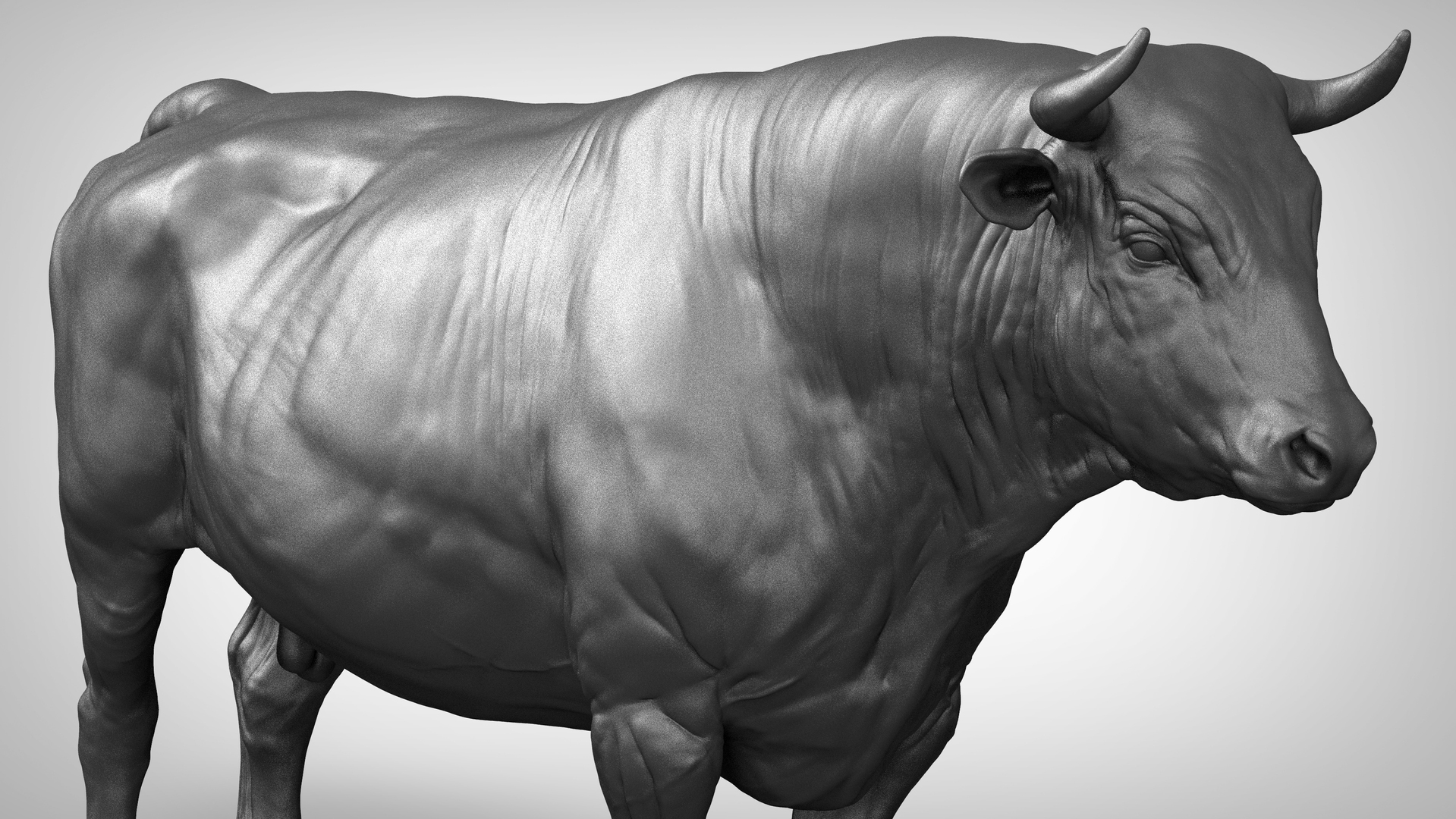 Bull v2 3D model - TurboSquid 1408523