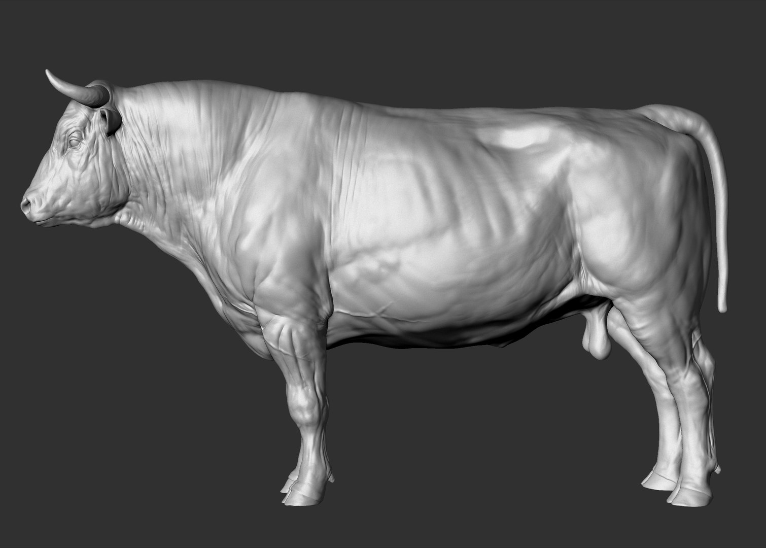Bull V2 3D Model - TurboSquid 1408523